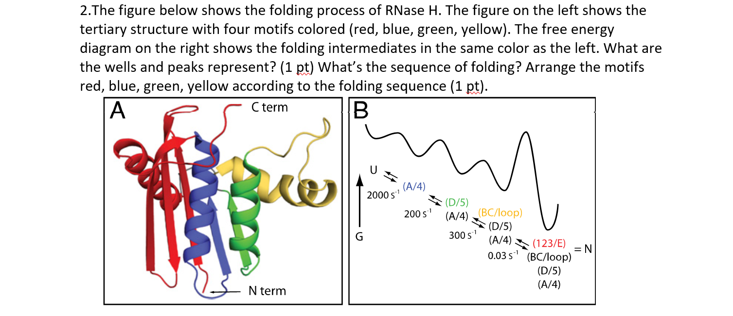 Solved 2. The figure below shows the folding process of | Chegg.com