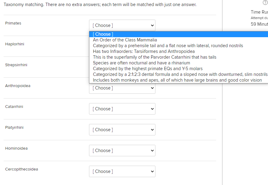 Solved Primates Taxonomy matching. There are no extra | Chegg.com