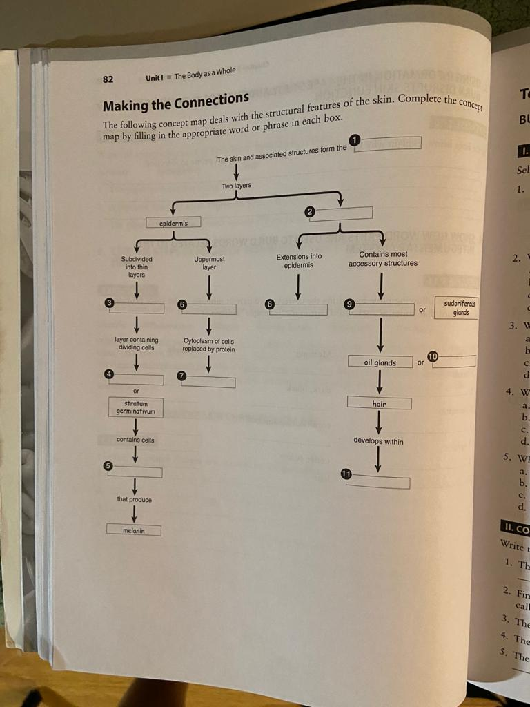 Solved The following concept map deals with the structural | Chegg.com
