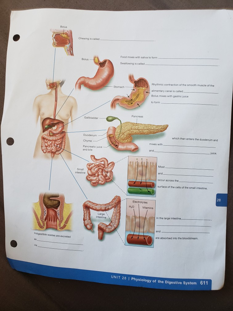 Solved Post-lab quizzes are also assignable in Mastering | Chegg.com