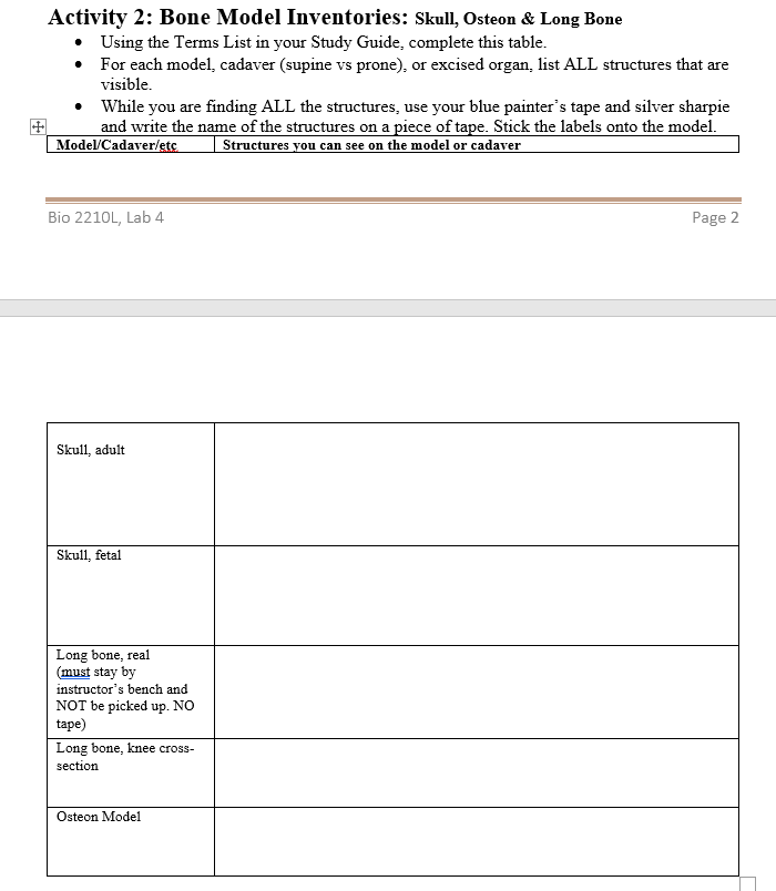 Solved Feature External auditory meatus Location on Skull | Chegg.com