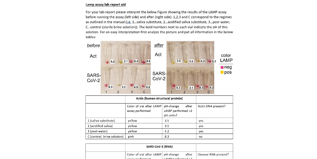 Lamp assay lab report aid For your lab-report please | Chegg.com