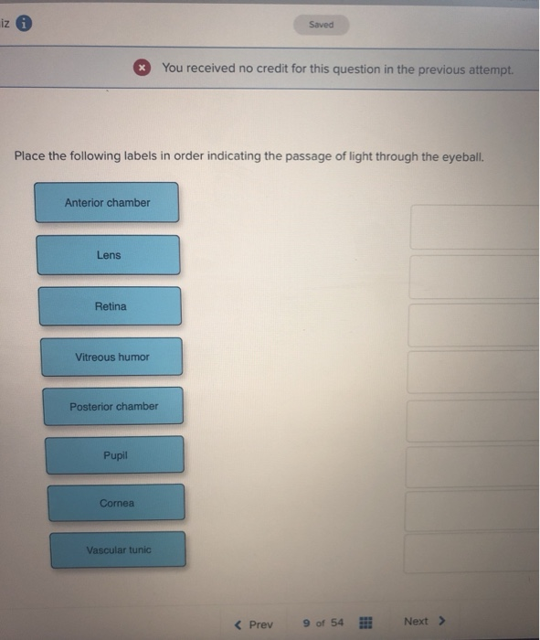 Solved iz Saved You received no credit for this question in | Chegg.com Solved iz Saved You received no credit for this question in | Chegg.com
