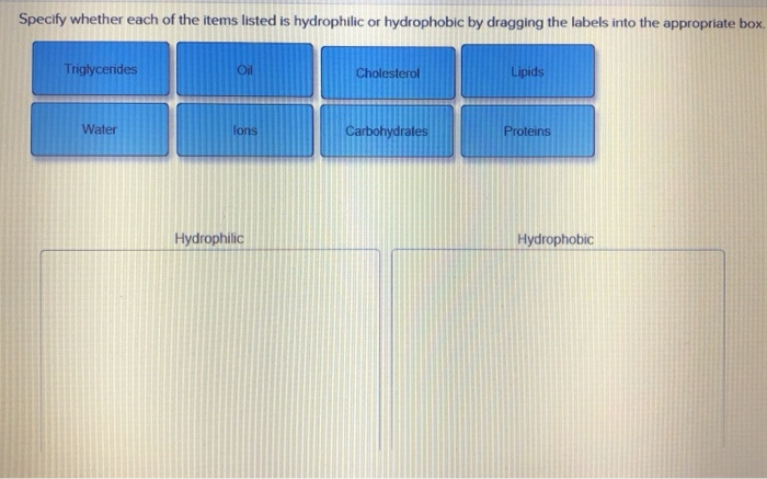 Solved Specify whether each of the items listed is | Chegg.com