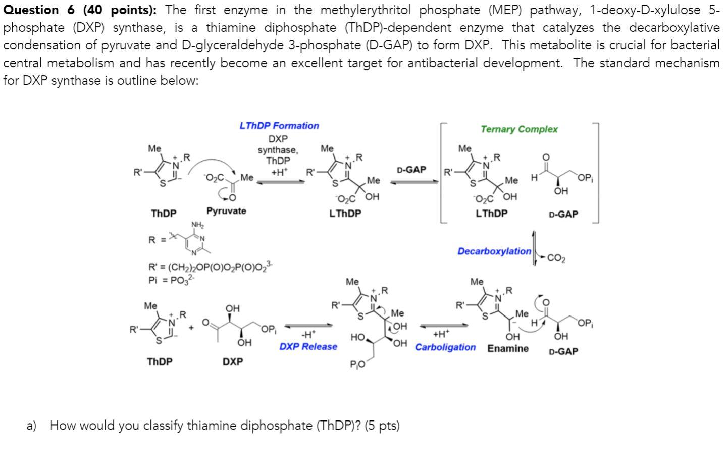 Solved Question 6 (40 points): The first enzyme in the | Chegg.com