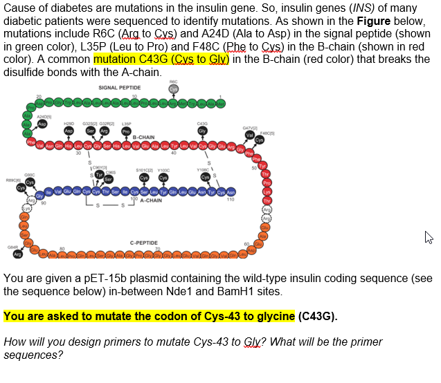 Solved Cause of diabetes are mutations in the insulin gene. | Chegg.com