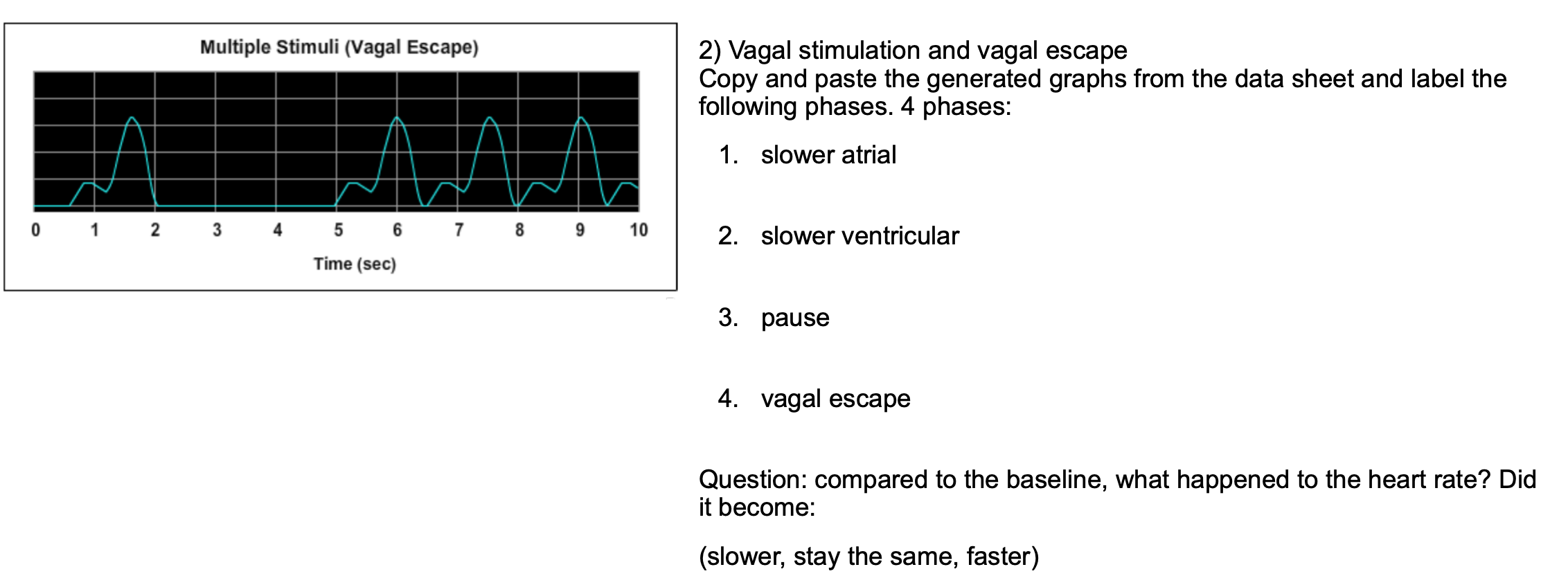 Solved Multiple Stimuli (Vagal Escape) 2) Vagal stimulation | Chegg.com