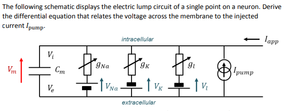 The following schematic displays the electric lump | Chegg.com