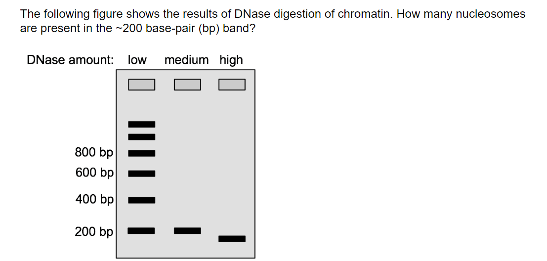 Solved The following figure shows the results of DNase | Chegg.com