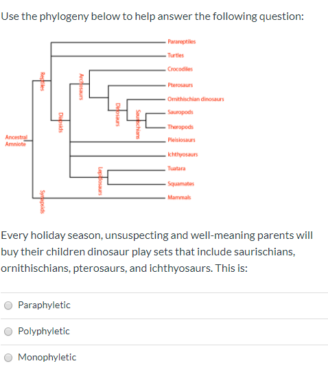 Solved Use the phylogeny below to help answer the following | Chegg.com