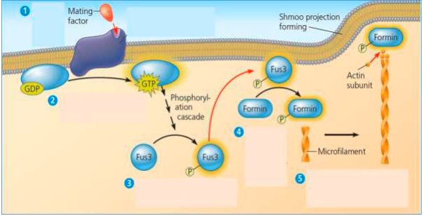 Solved Read the following text carefully and study the two | Chegg.com