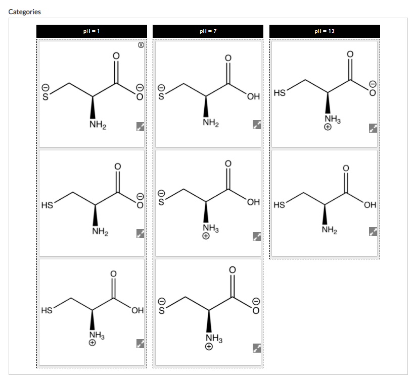Solved Below is shown the amino acid cysteine, in eight | Chegg.com
