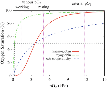 Solved (a) The P50 of hemoglobin is between the partial | Chegg.com