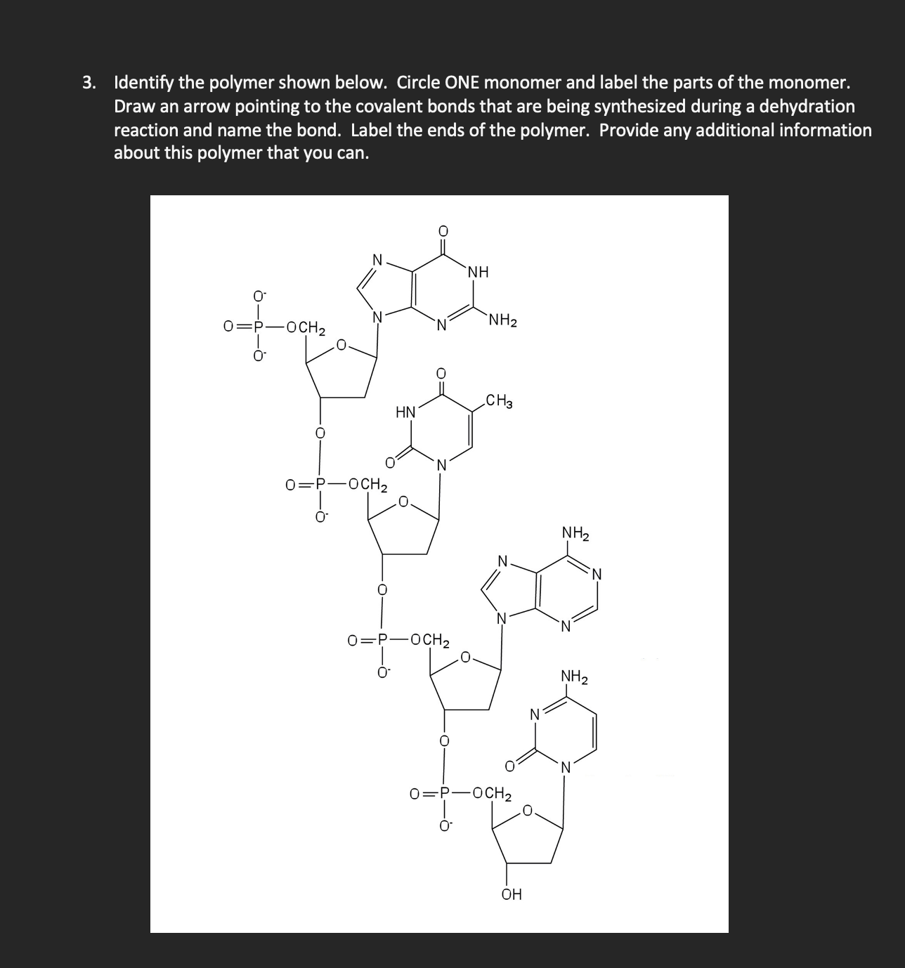 Solved 3. Identify the polymer shown below. Circle ONE | Chegg.com