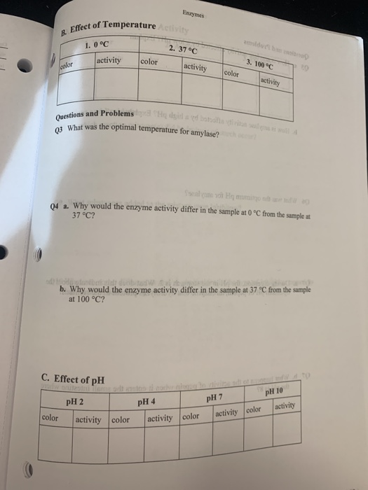 Solved Enzymes . Effect of Temperature 1. 0°C 2. 37°C | Chegg.com