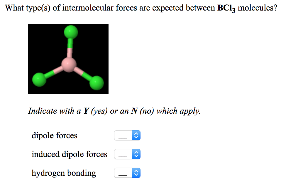 Solved What Type S Of Intermolecular Forces Are Expected