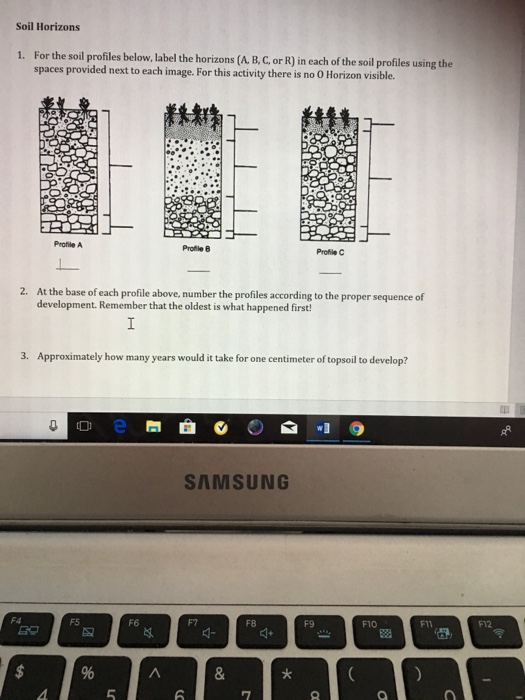 Solved Soil Horizons 1. For the soil profiles below, label | Chegg.com