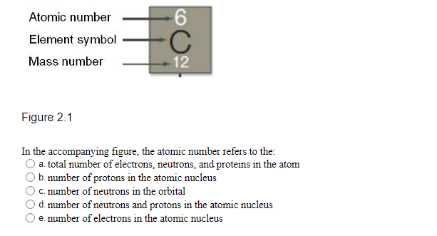Solved Atomic number Element symbol Mass number 6 C 12 | Chegg.com