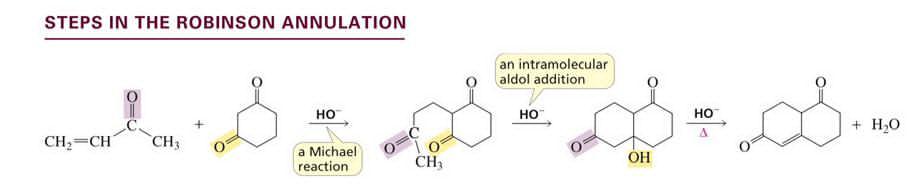 Solved STEPS IN THE ROBINSON ANNULATION an intramolecular | Chegg.com