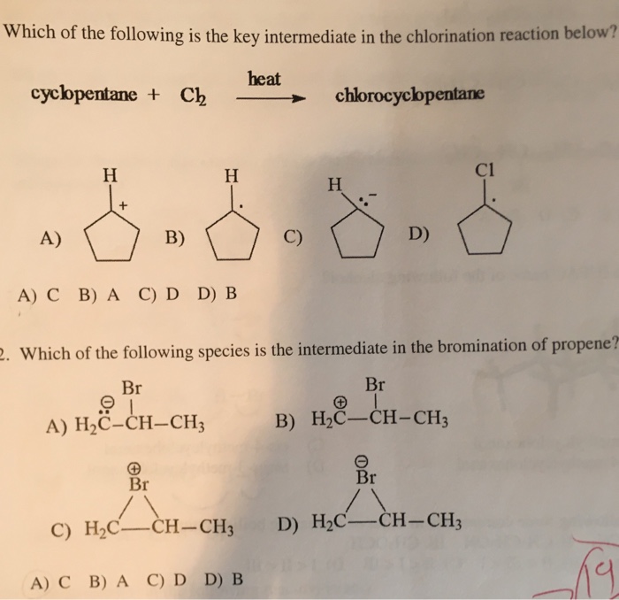 Solved Which of the following is the key intermediate in the | Chegg.com