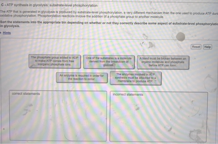 Solved The ATP that is generated in glycolysis is produced | Chegg.com