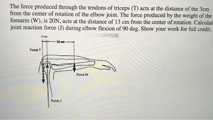 Solved The force produced through the tendons of triceps (T) | Chegg.com
