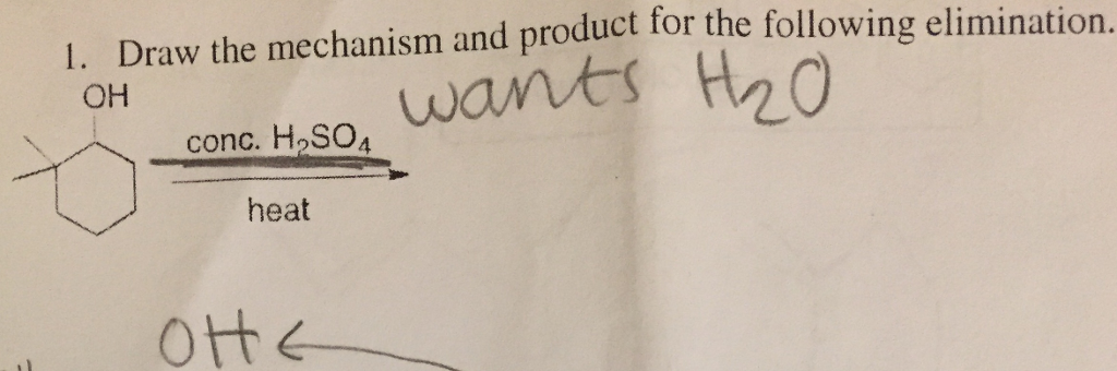 Solved 24. What is the expe What is the expected major | Chegg.com