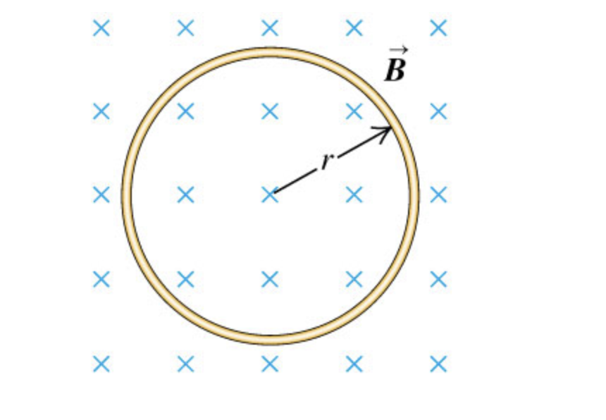 Solved A circular loop of wire with radius 0.0240 m and | Chegg.com