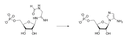 Solved Propose a reasonable mechanism, disregard | Chegg.com