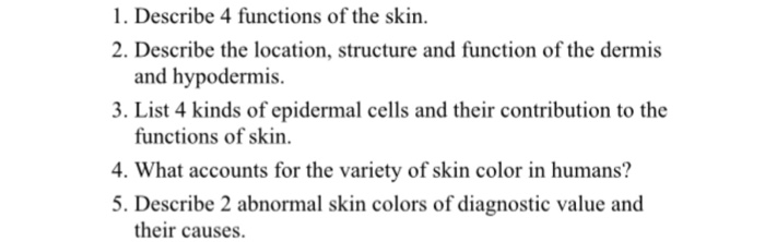 Solved Describe 4 functions of the skin. Describe the | Chegg.com