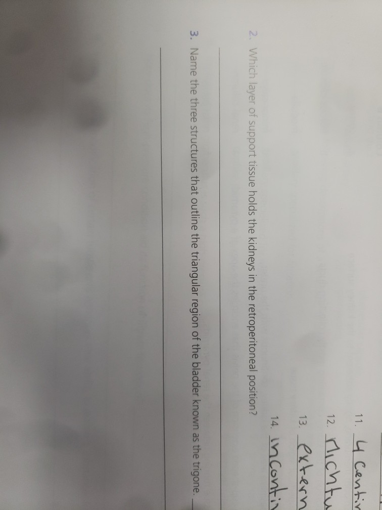 Solved 12. riCnK 13. exrerm 14, inCon 2. Which layer of | Chegg.com