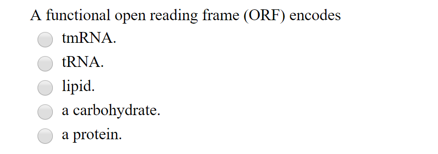 Solved A functional open reading frame (ORF) encodes otmRNA. | Chegg.com