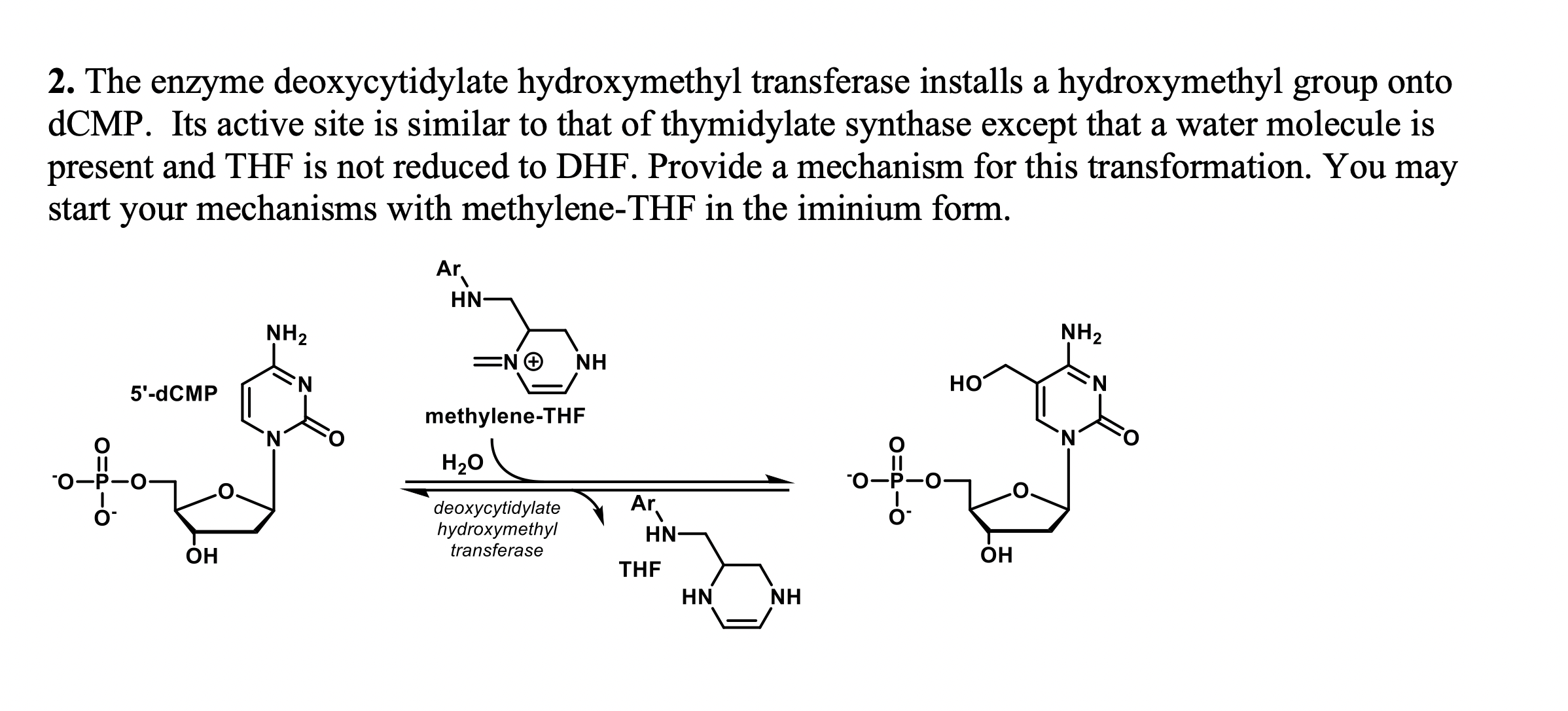 Solved 2. The enzyme deoxycytidylate hydroxymethyl | Chegg.com