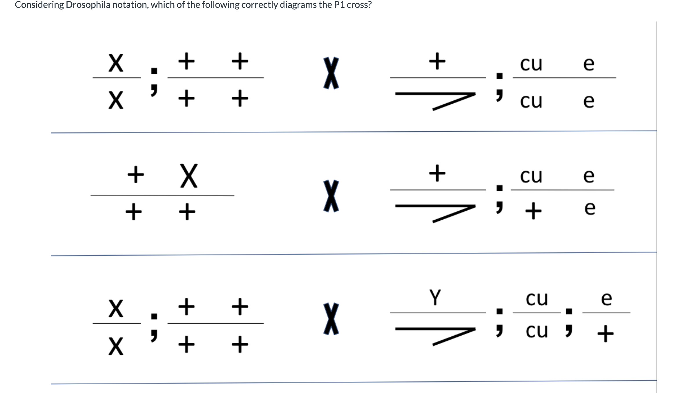 Solved In Drosophila, , the curled mutation (cu, chromosome | Chegg.com Solved In Drosophila, , the curled mutation (cu, chromosome | Chegg.com