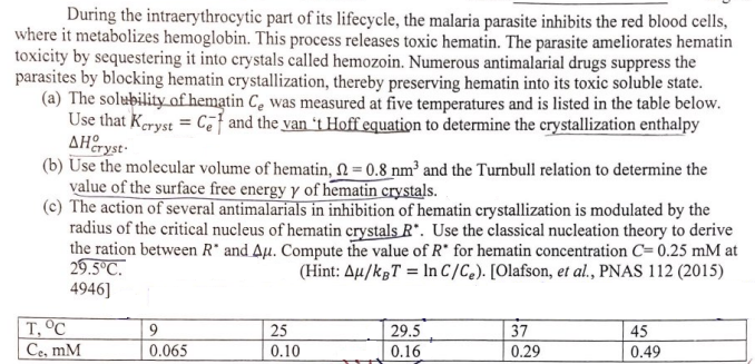 Solved During the intraerythrocytic part of its lifecycle, | Chegg.com