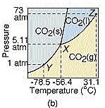 Solved 1. What is the temperature and pressure at the | Chegg.com