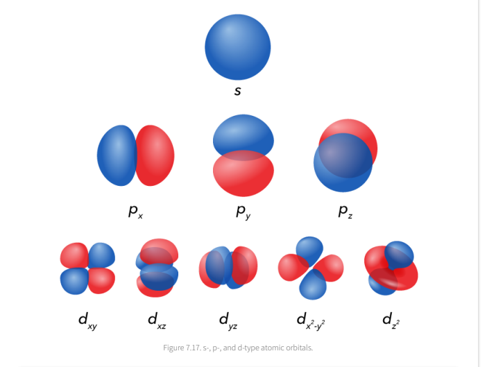 Solved px py pz dxz dyz dx2−y2 dz2 Figure 7.17.s-, p-, and | Chegg.com