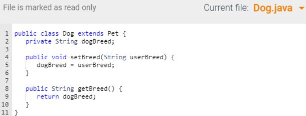 Solved Current file: Petinformation.java 11 12 13 14 15 3 | Chegg.com