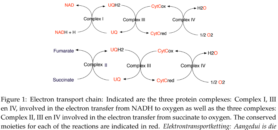 Solved 2) Thermodynamics of the electron transport | Chegg.com