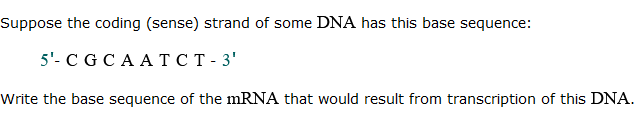 Solved Suppose the coding (sense) ﻿strand of some DNA has | Chegg.com