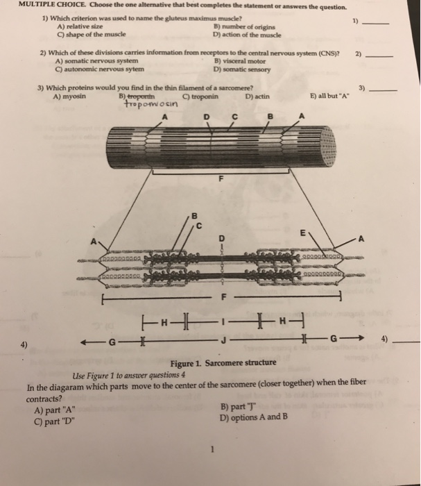 Solved MULTIPLE CHOICE. Coose the one alternative that best | Chegg.com