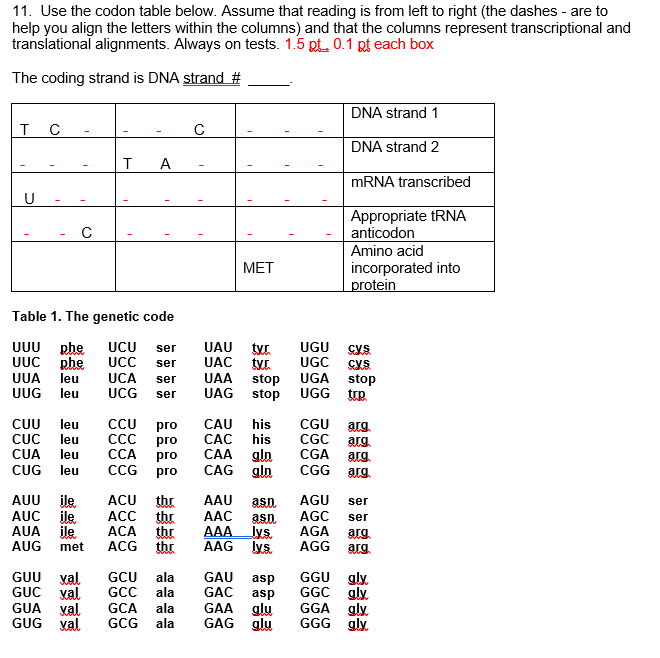 Solved 10b. The first base at the 5' end of the anticodon | Chegg.com
