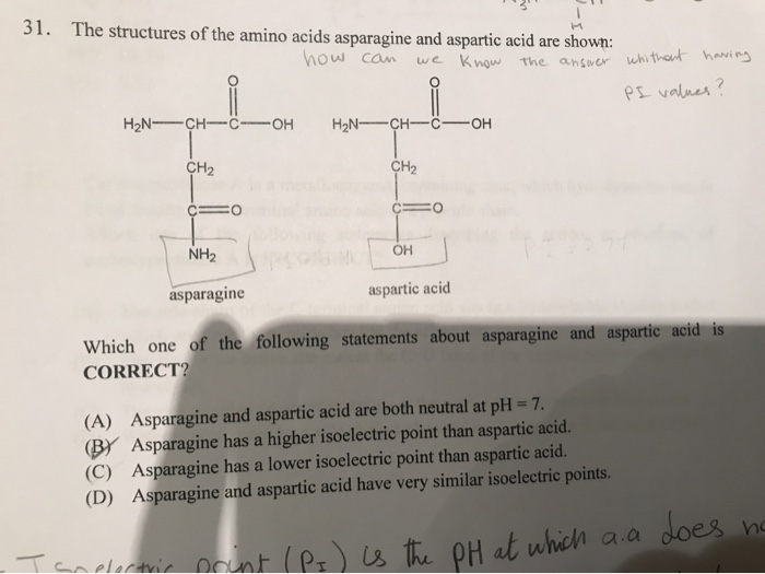 Solved 31. The structures of the amino acids asparagine and | Chegg.com