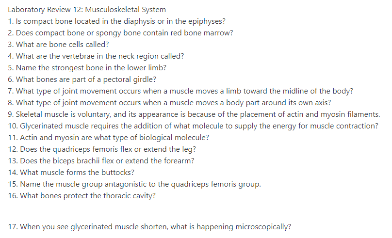 Solved Laboratory Review 12: Musculoskeletal System 1. Is | Chegg.com