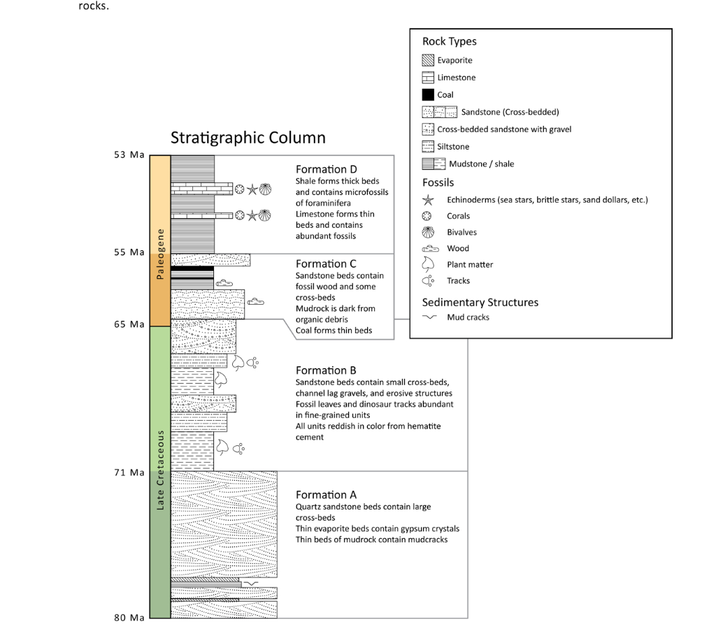 Solved 3. Lithostratigraphy – Interpreting Sedimentary | Chegg.com