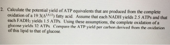Solved Calculate the potential yield of ATP equivalents that | Chegg.com