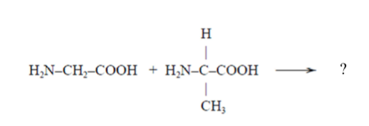 Solved H H2N-CH2-COOH + H2N-C-COOH - ? CH; | Chegg.com