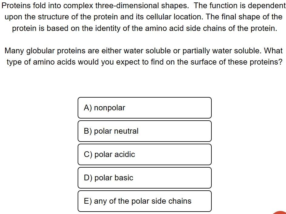 Solved Proteins fold into complex three-dimensional shapes. | Chegg.com