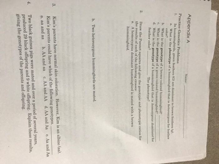Solved Appendix A Practice Genetics Problems 1. In | Chegg.com
