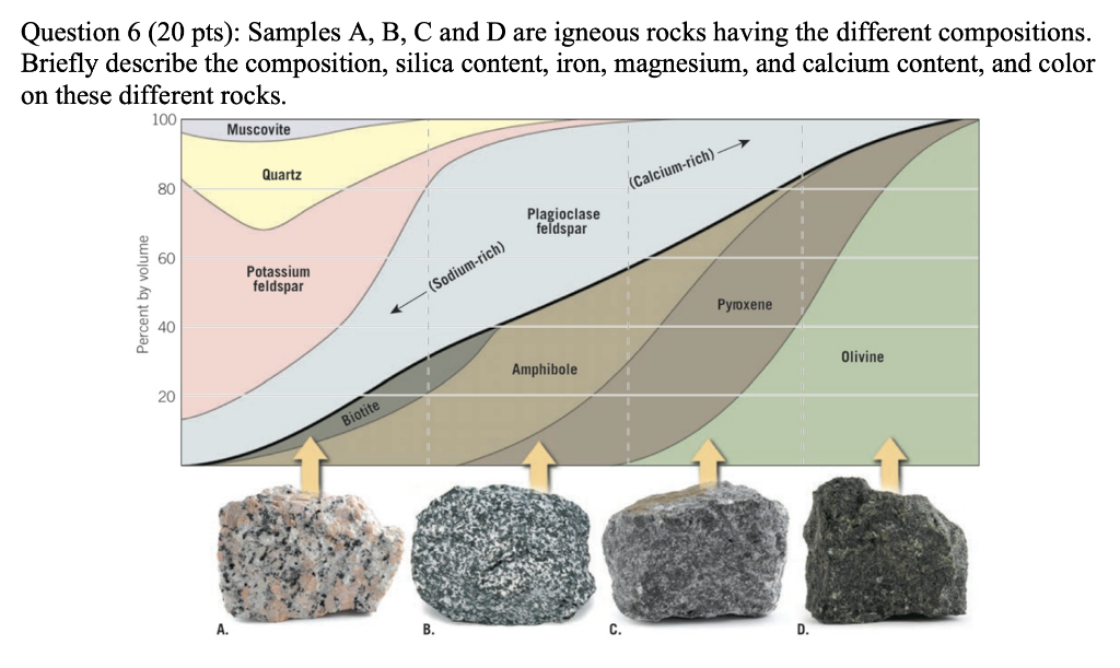 Solved Samples A, B, C and D are igneous rocks having the | Chegg.com